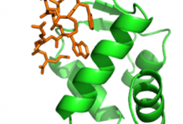 PROXIMA-1 | French national synchrotron facility