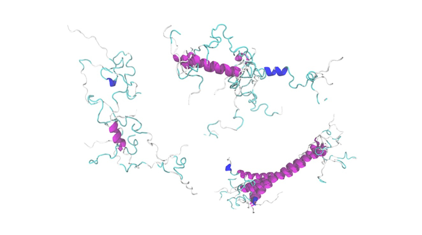 French national synchrotron facility